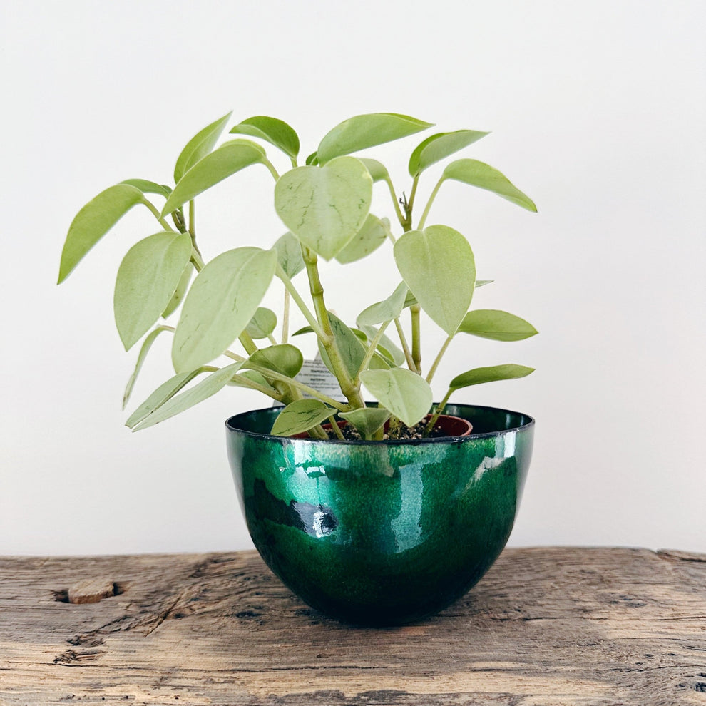 Large Emerald Green Enamel Bowl - MaisyPlum Bowl